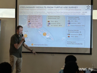 Workshop to strengthen turtle protection efforts | PIPAP